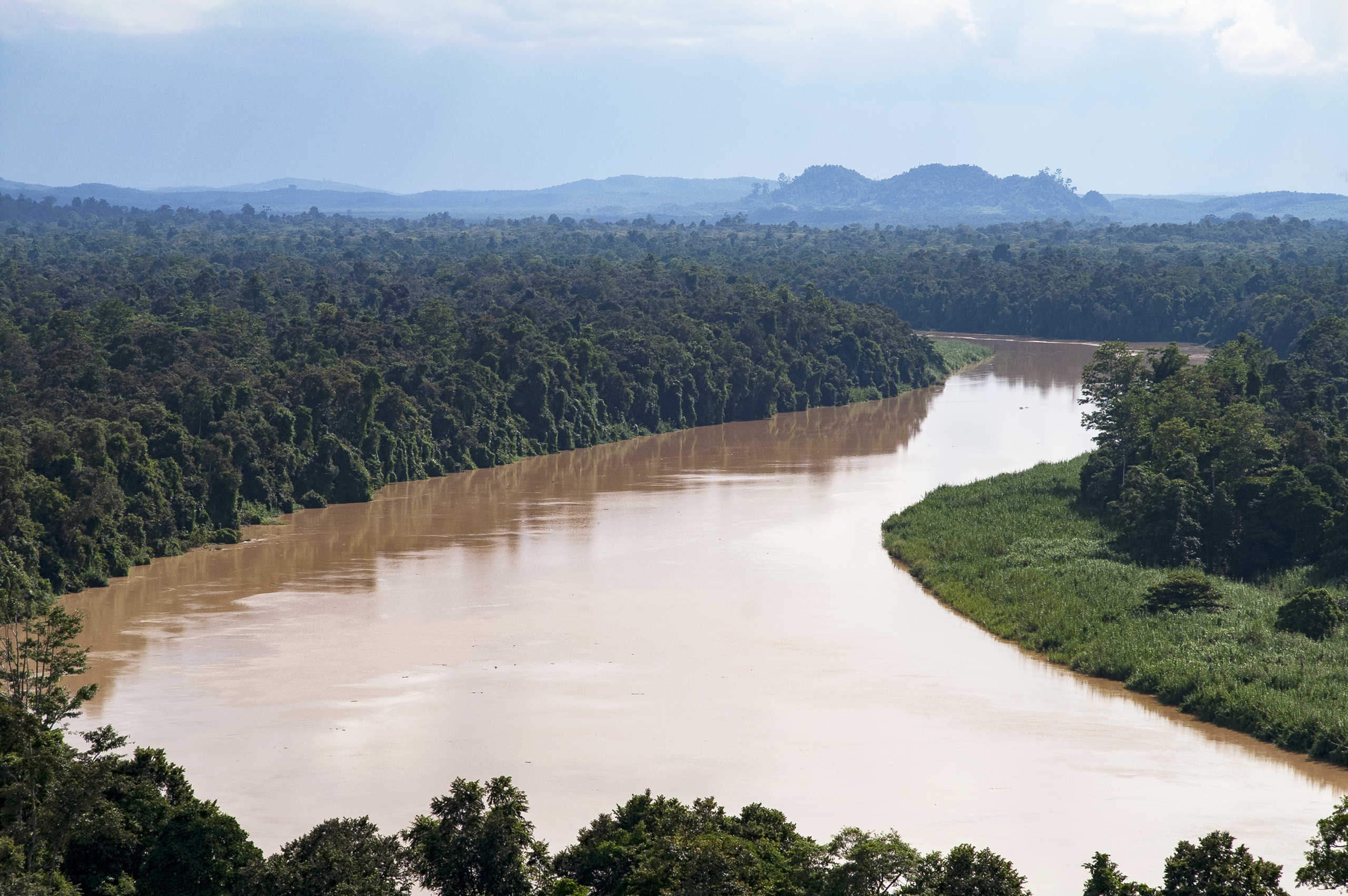 Kinabatangan river 2024/2025 - Wild Borneo | InsideAsia Tours