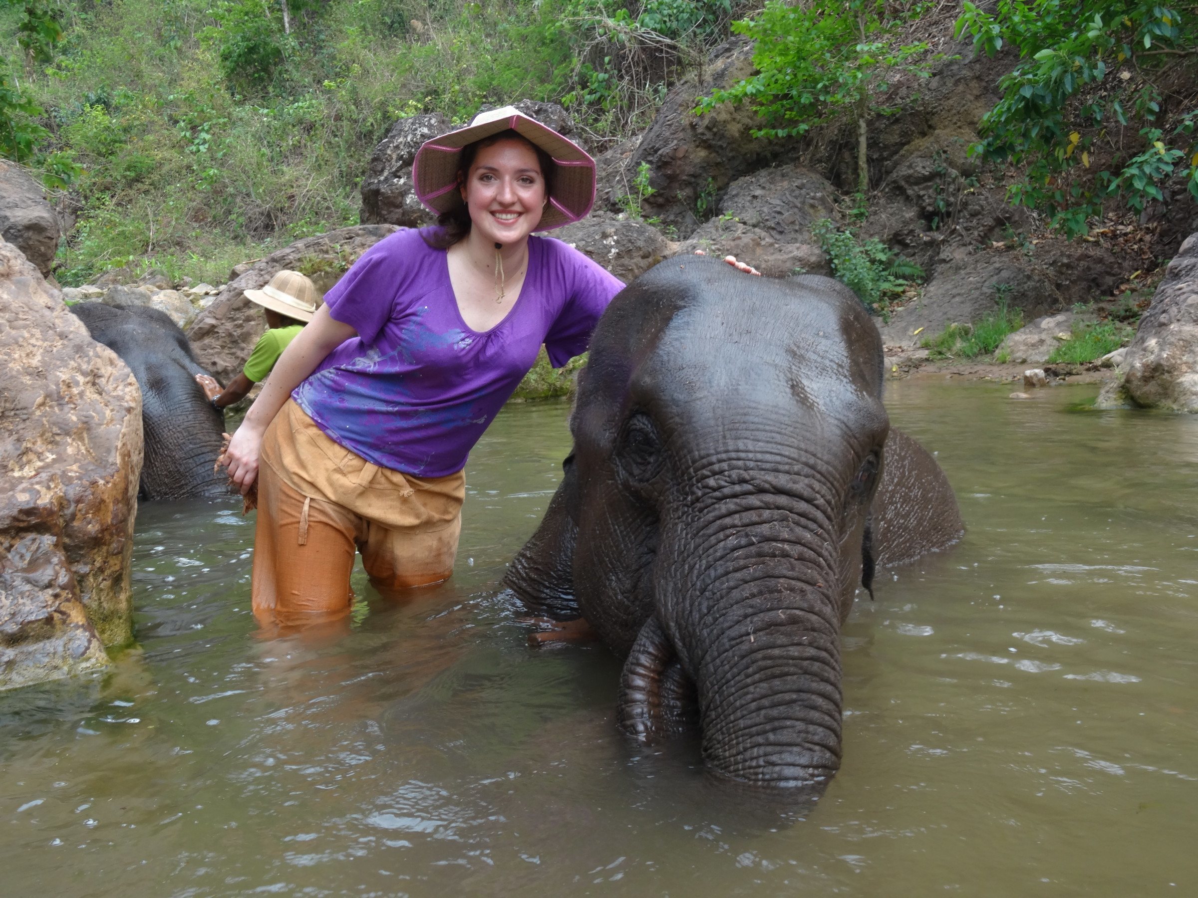 Retired Burmese Elephants | InsideAsia Tours