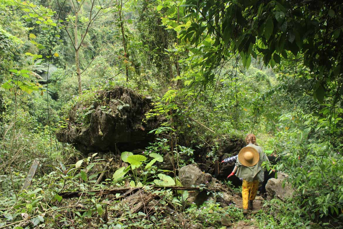 Enter the Jungle: Cave trekking in Vietnam | InsideAsia Tours