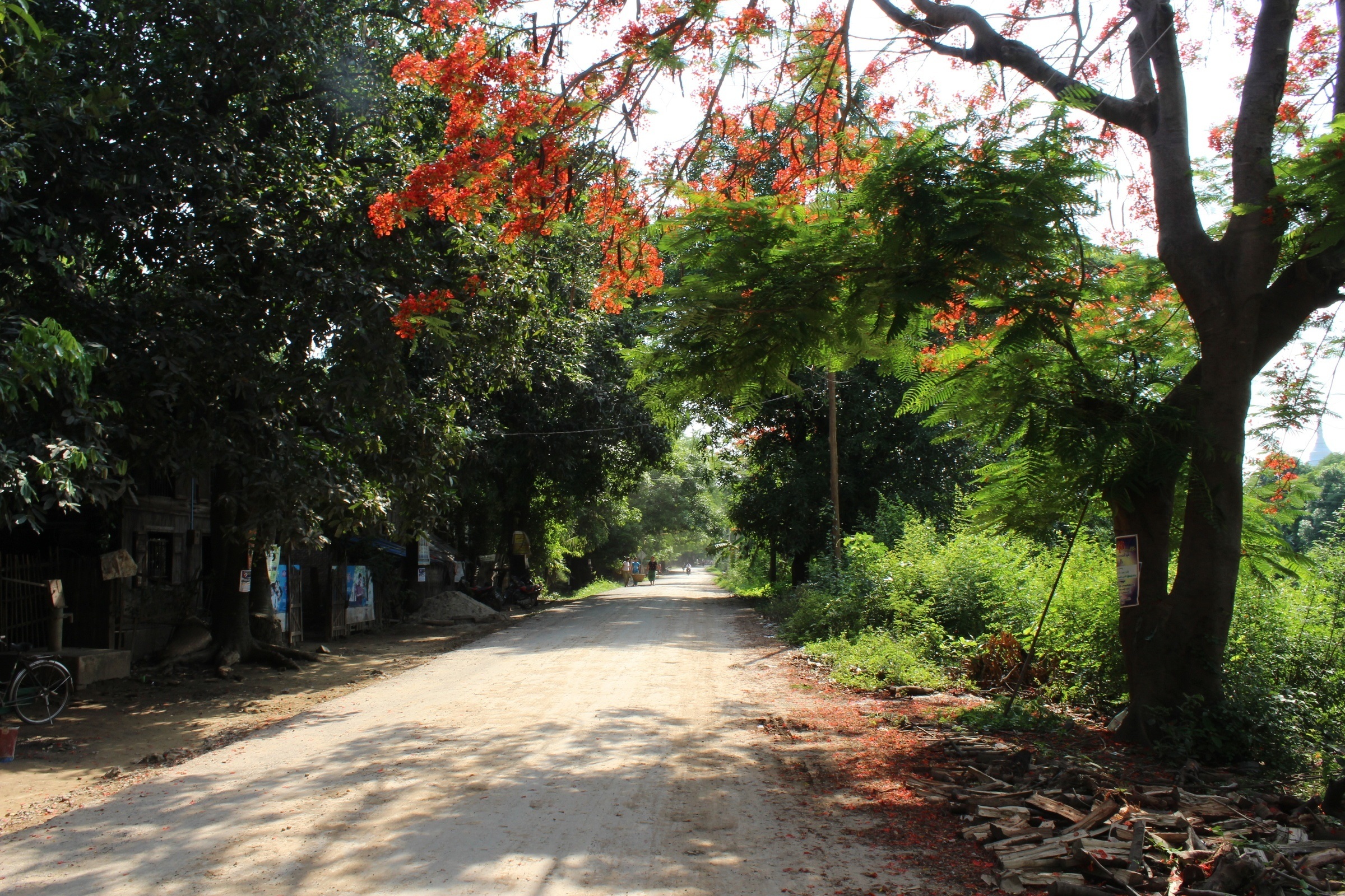 Mandalay by bike | InsideAsia Tours