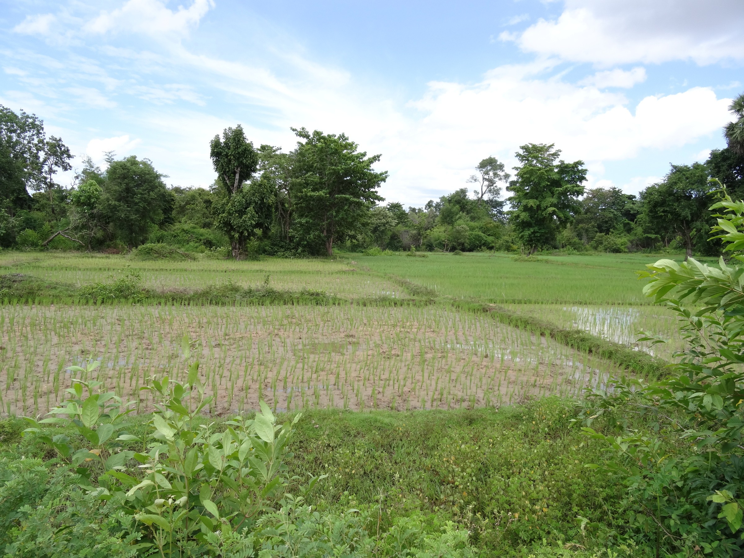 Exploring Champasak and the 4,000 islands | InsideAsia Tours