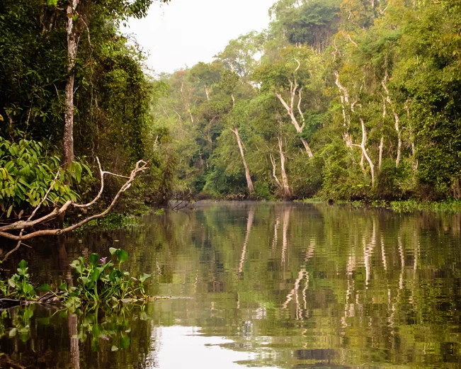 Sabah Sojourn - 13 Day Tour Packages | 2026/2027 | AU InsideAsia Tours