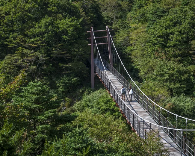 Jeju Island Extension | InsideAsia Tours