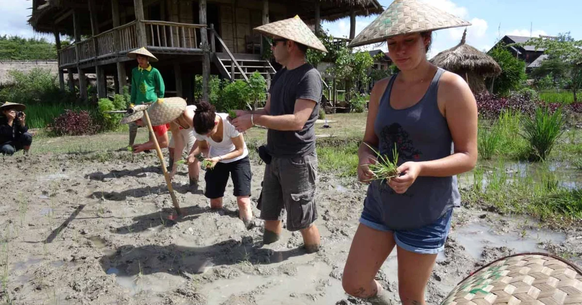 7 great family activities in Laos | US InsideAsia Tours